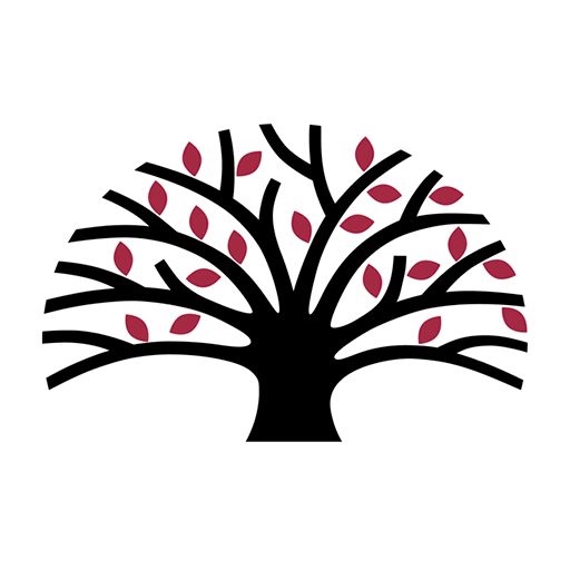 IROKO – GISBERT